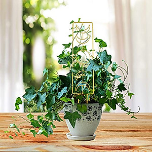 2 Pack Large Moon Phase Plant Trellis, 17.32 Inches Gold Metal Plant Trellis for Garden Indoor Climbing Plants, Climbing Plant Support for Potted Plants Houseplant Monstera Plant Ivy Vine