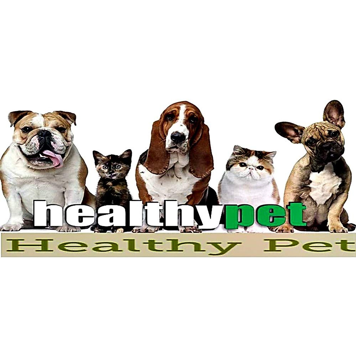 Omega Alpha Pet Probiotic 8 Plus - Probiotics, Enzymes, and Fibre for Better Pet Digestion.-500g