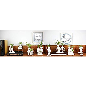 3.25 Inch White Ceramic Meditating Person Shaped Planter with Live Tillandsia Air Plant - Potted Indoor Air Plants for Home and Office Decor