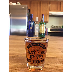 GO FROZEN Inspired by Harry Potter Shot Glass-I Solemnly Swear-Mischief Managed