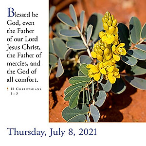 365 Bible Verses-A-Year Page-A-Day Calendar 2021