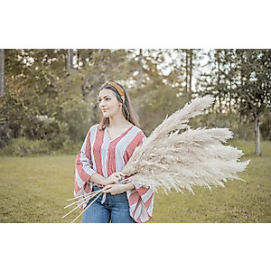 48" Extra Large Pampas Grass Stems Beige- 4 Pampas Stems - Tall-Pampas Grass for Floor Vase - Wedding Decoration