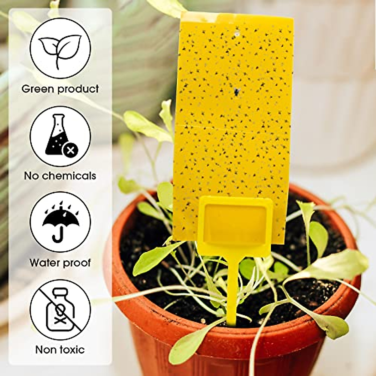 220 Pcs Double Sided Sticky Traps Gnat Killer for Flying Plant Insect Indoor Outdoor Such as Fungus Gnats, Whiteflies, Aphids, Include 200 Twist Ties and 20 Holders, 7.9 x 4 Inches (Yellow)