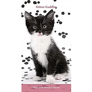 Kitten Cuddles | 2023-2024 3.5 x 6.5 Inch Two Year Monthly Pocket Planner | BrownTrout | Animals Cute Cat Feline