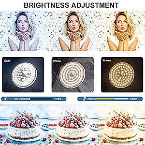 Softbox Lighting Kit, YICOE Photography Lighting Kit 2x19.7"x27.5" Continuous Lighting System with 5700K E27 LED Bulb and Remote for Portrait Product Portrait Video Fashion Photography…