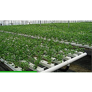 1.5 inch Rockwool/Stonewool Grow Cubes Starter Sheets for Cuttings, Cloning, Plant Propagation, Seed Starting Hydroponic Grow Media Growing Medium for Vigorous Plant Growth (28, 1.5)1