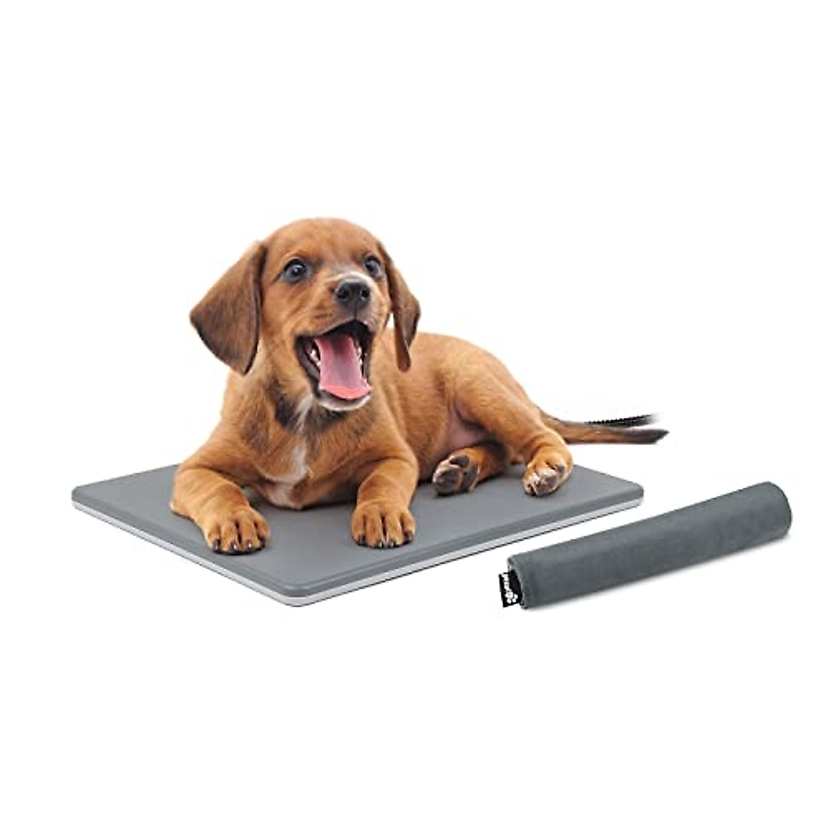 Pecute Outdoor Pet Heating Pad, Waterproof ABS Hard Shell, Constant Temperature Heating, High Temperature Protection, Anti-Electric Shock, Heated Pet Mat with Chew Resistant Cord and Washable Cover