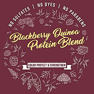 Aveeno Blackberry Quinoa Protein Blend Sulfate-Free Conditioner for Color-Treated Hair Protection, Daily Strengthening & Moisturizing Conditioner, Paraben & Dye-Free, 12 Fl Oz