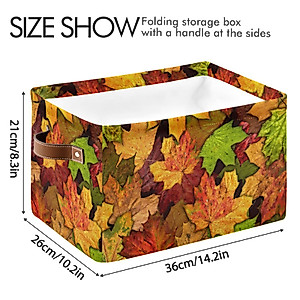 Dry Autumn Leaves Storage Basket Fall Maple Tree Storage Organizer Box Bin Large Collapsible Cube Baskets with PU Handles for Shelf Closet Nursery Laundry 1 Pack