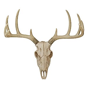 Ebros Gift Rustic Hunter Deer 10 Point Buck Skull Trophy Antlers Wall Mounted Plaque Trophy Decor Figurine 14.25" Long Hunter's Antler Rack Theme Deers Bucks Hunting Skulls Trophies Hanging Sculptures