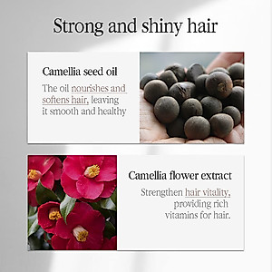 PYUNKANG YUL Herbal Hair Loos Control Shampoo - Fermented Black Tea containing rich Ingredients polypheonol, catechin - Hair Loss Treatments herbal Ingredients condensed Peptide, Biotin - 16.9 Fl. Oz