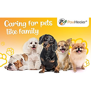 PawHealer® Dissolve Herbal Formula - 100 Grams Powder - Remedy for Fatty Lumps & Bumps in Dogs & Pets …