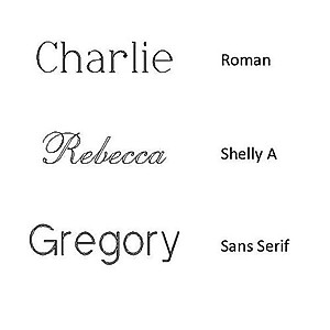 Custom Engraved Personalized Stainless Steel Playing Harmonica