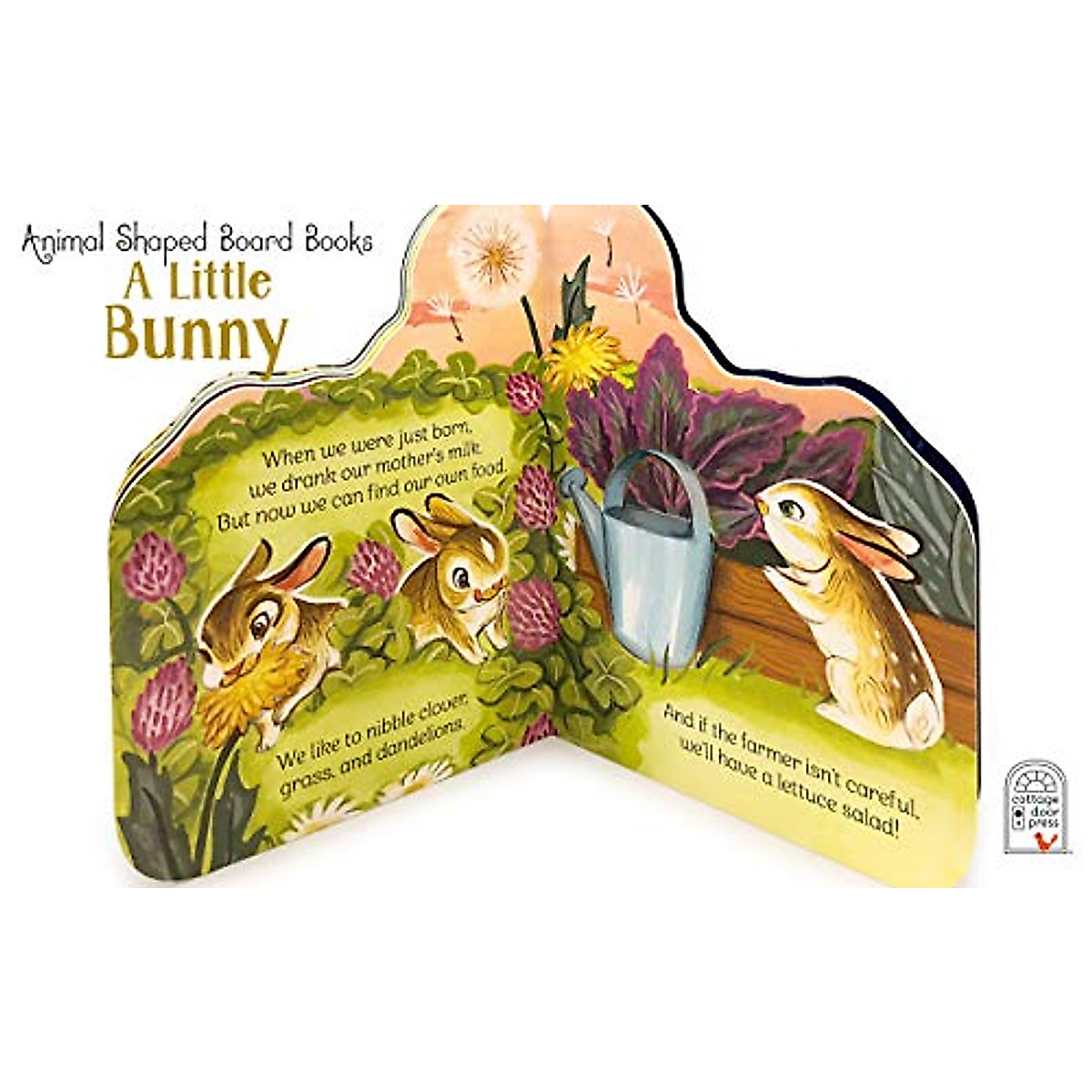 A Little Bunny - Children's Animal Shaped Board Book,