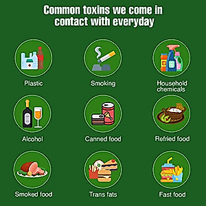 Strip 5 Day Permanent Detox Cleanse - Complete Body Cleansing Kit - Toxin Rid - Detox with Burdock, Dandelion, Red Clover Blossom, Alfalfa, Slippery Elm - 40 Capsules, 2 Pack