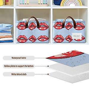 ALAZA Red Lips Fabric Storage Bins Collapsible Storage Cube Organizer Basket with Handles for Shelves Colset Wardrobe Organizition