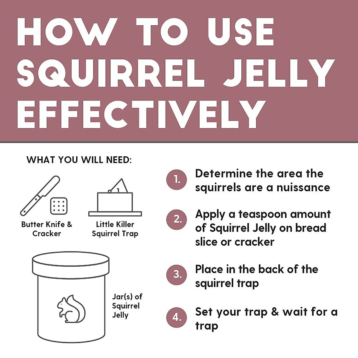 Squirrel Jelly Paste Bait 8 Ounce | Irresistible Sweet Scented & Highly Attractive Lure for Red & Grey Squirrels Chipmunks | Good All Season Long
