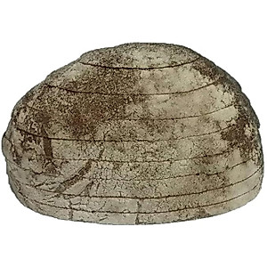 German Farmer Bread Pack of 4