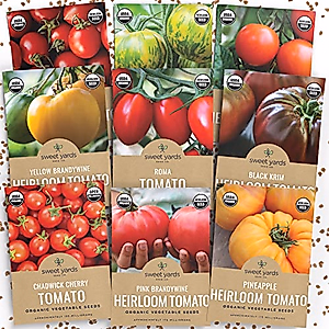 Organic Heirloom Tomato Seeds Variety Pack - 9 Seed Packets: Brandywine, Roma, Green Zebra, Pineapple, Chadwick Cherry, Black Krim and More