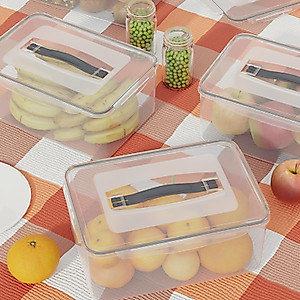 Xyskin 4 Packs 15 L Airtight Food Storage Containers Set with Handle Lid, Plastic BPA-Free Rectangle Bread Container for Home Kitchen, Leak Proof