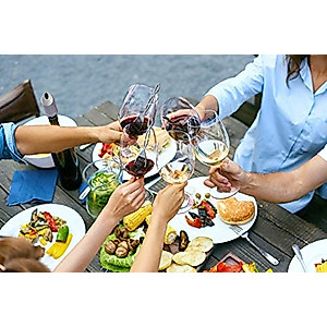 PureWine Wand Filters Histamines and Sulfites - May Reduce and Alleviate Wine Allergies & Sensitivities - Purifier Aerates Wine Restore Taste & Purity - Includes Wine Glass Accessory