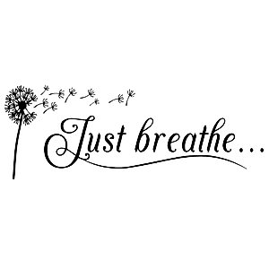 Just Breathe Vinyl Wall Decal Yoga Quotes Positive Relax Motto Art Letters Sayings Living Room Décor Lettering