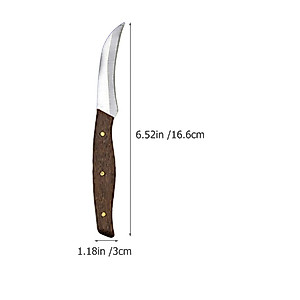 Hemoton Vegetable Fruit Carving Knife DIY: Professional Chef Knife Food Fruit Paring Knife Kitchen Tool Utensils 1 Set