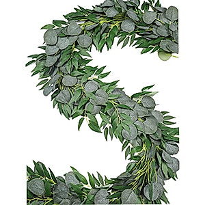 10 Pcs 6.2 Feet Artificial Silver Dollar Eucalyptus Leaves Garland with Willow Vines Twigs Leaves String for Doorways Greenery Garland Table Runner Garland Indoor Outdoor.…