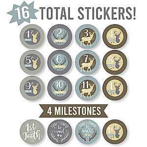 16 Monthly Baby Milestone Stickers Boy - Deer Baby Monthly Milestone Stickers for Baby Boy, Milestone Baby Monthly Stickers, Baby Month Stickers for Baby Photo Props, Monthly Baby Stickers Boy