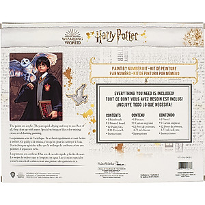 Dimensions PaintWorks Hedwig and Harry Potter Paint by Number Kit for Adults and Kids, Finished Project 11" x 14", Multicolor 15 Piece