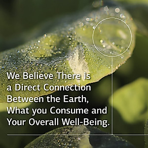 Standard Process A-F Betafood - Gluten-Free Liver Support, Cholesterol Metabolism, and Gallbladder Support Supplement with Vitamin A, Iodine, Vitamin B6-360 Tablets