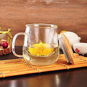 WHJY Glass Tea Cup with Infuser and Lid, 15 ounce Glass Tea Cups with Strainer, Loose Leaf Tea Cup Mug for One, Lead-free Borosilicate Glass Teacups, Heat Resistance, Microwave & Dishwasher Safe