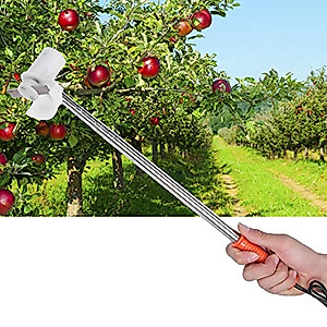 Raguso Extendable Trimmer Cutter with Adjustable Head Grass Trimmer and Edger Telescopic Grass Cutter Prunning Device Garden Tool 250V 10A