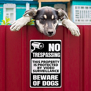 Loopeer 2 Pieces Beware of Dog Sign for Fence Lawn Funny Warning Decor No Trespassing Sign Metal Rustproof Warning Signs Dog Warning Metal Tin Signs for Fence Garden Yard Signs Outdoor Indoor