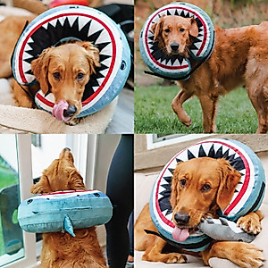 Choola Pet Shark Theme Inflatable Dog Cone Collar (Large) for After Surgery Care Bundled with Pump and Extra Tube