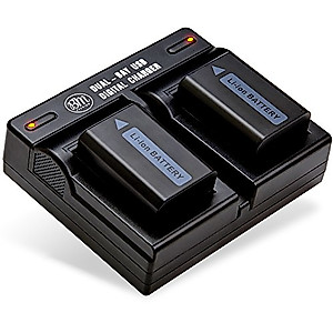 BM Premium 2 Batteries and Dual Bay Charger for Sony ZV-E10, A7 II, A6100, A6400, DSC-RX10 IV, DSC-RX10 II, RX10 III, Alpha 7, Alpha 7R, a7, a7R, A7s, A7s II, a3000 a5000 a5100 a6000 a6300 a6500