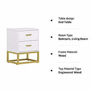 2 Drawer Nightstand, White and Gold NightStands for Bedrooms Modern Side Table