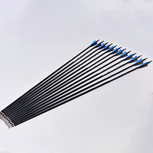 AMEYXGS 31 Inch Carbon Arrow Practice Hunting Arrow for Compound & Recurve Bow Hunting Shooting (Blue)