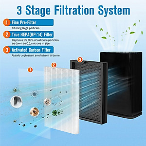 400 Replacement Filter