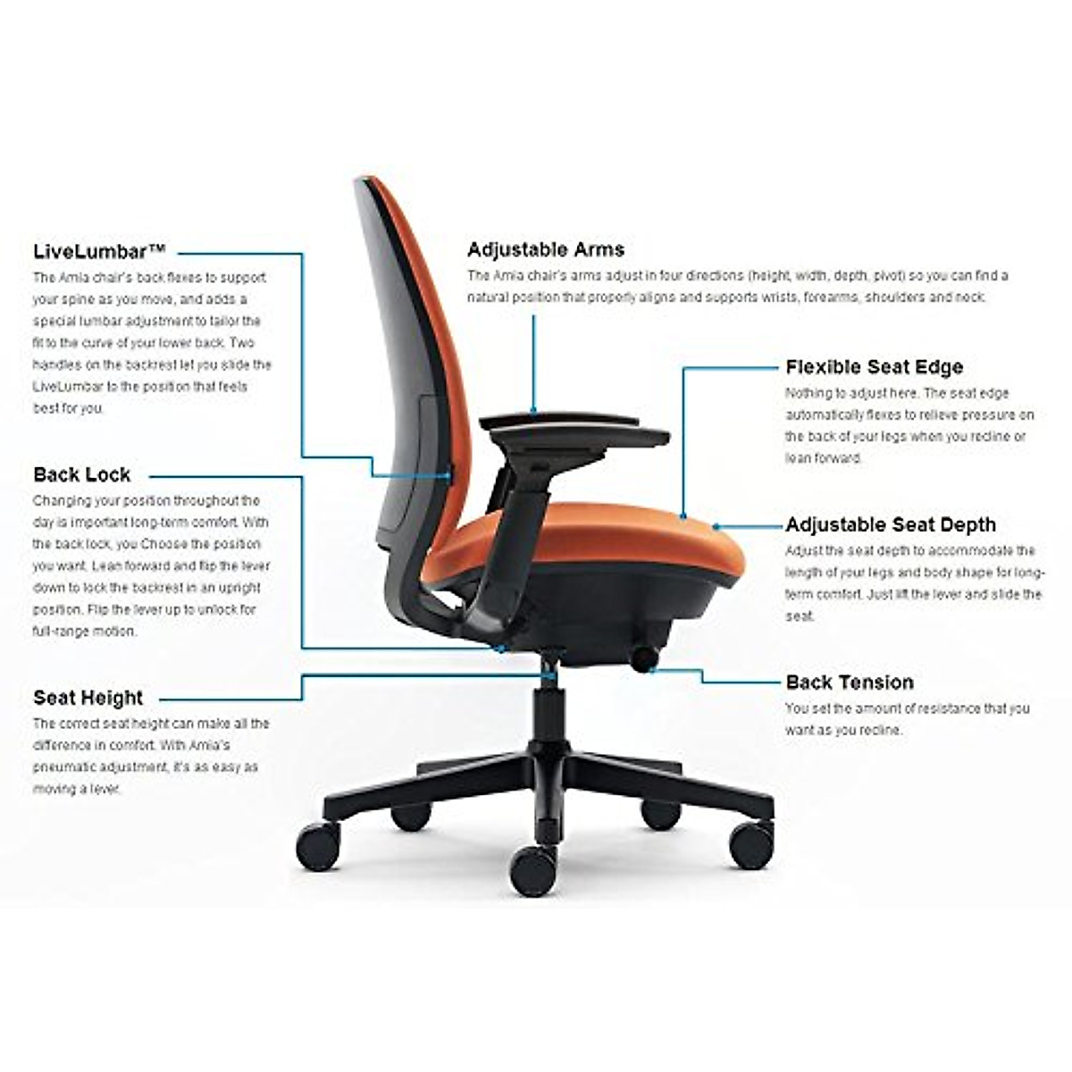Steelcase Amia Ergonomic Office Chair with Adjustable Back Tension and Arms | Flexible Lumbar with Sliding Seat | Black Frame and Buzz2 Blue Fabric