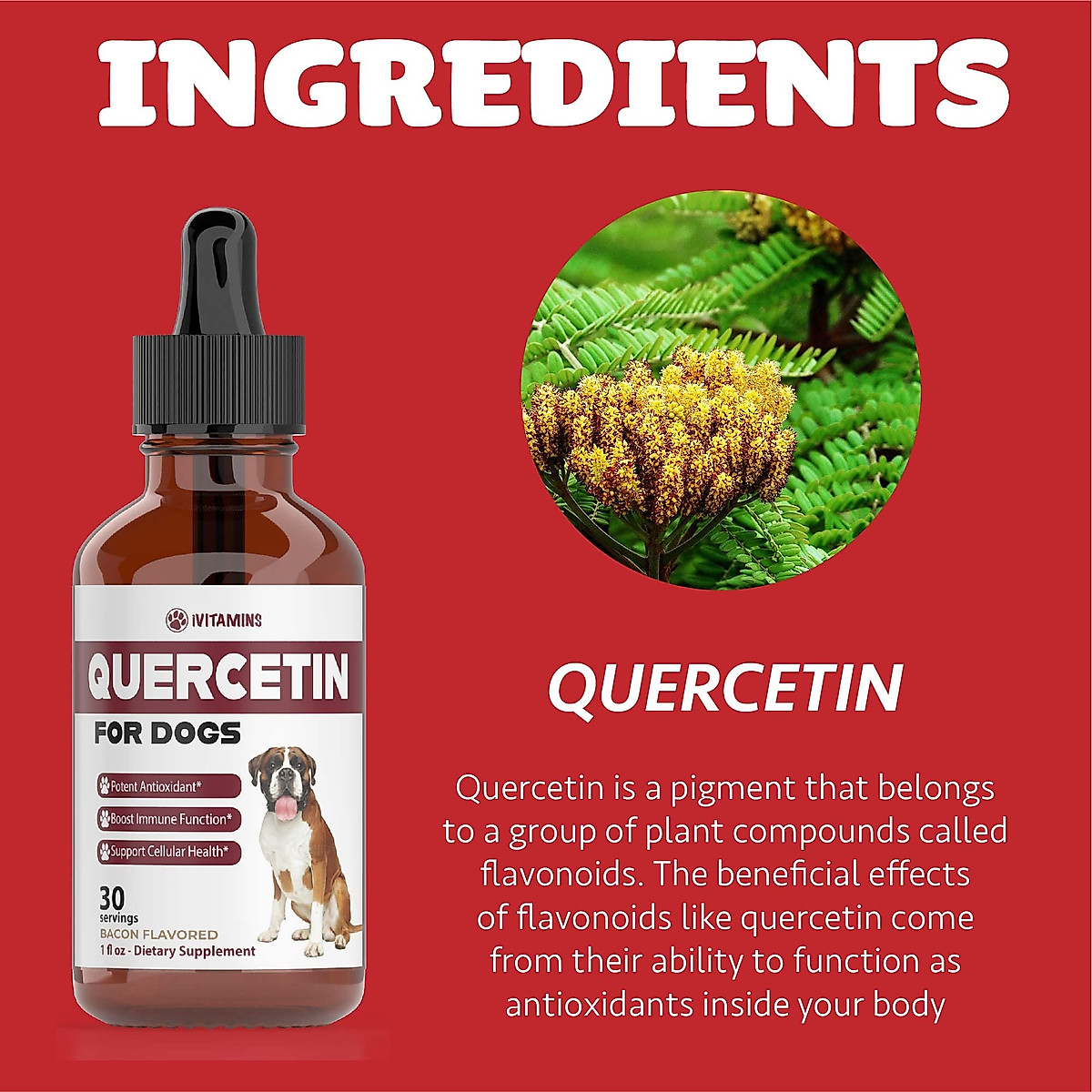 Quercetin for Dogs | Dog Allergy Relief | Quercetin for Dogs Allergies | Dog Allergy | Quercetin | Dog Allergy Support | Quercetin Dog | Dog Allergies | Quercetin Supplements | Bacon Flavor (2 Pack)