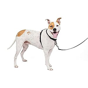 PetSafe 3 in 1 No-Pull Dog Harness - Walk, Train or Travel - Helps Prevent Pets from Pulling on Walks - Seatbelt Loop Doubles as Quick Access Handle - Reflective Accents - Medium, Black