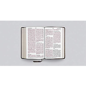 ESV Large Print Personal Size Bible (TruTone, Brown, Engraved Mantel Design)