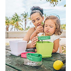 AvoSeedo Avocado Tree Growing Kit with Pot, Green & White, Practical Gifts for Women, Mom, Sister, Best Friend & Kids, Plant Indoors with Novelty Pit Grower Boat & Kitchen Garden Seed Starter