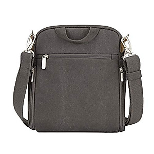Travelon Anti-Theft Heritage Tour Bag, Pewter - 33074 540 9 x 11.5 x 3