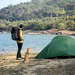 Naturehike Cloud Up Free Standing 2 Person Backpacking Tent Ultralight Nylon Double Layer Camping Tents for Two Person (2 Person, 20D Nylon Forest Green)