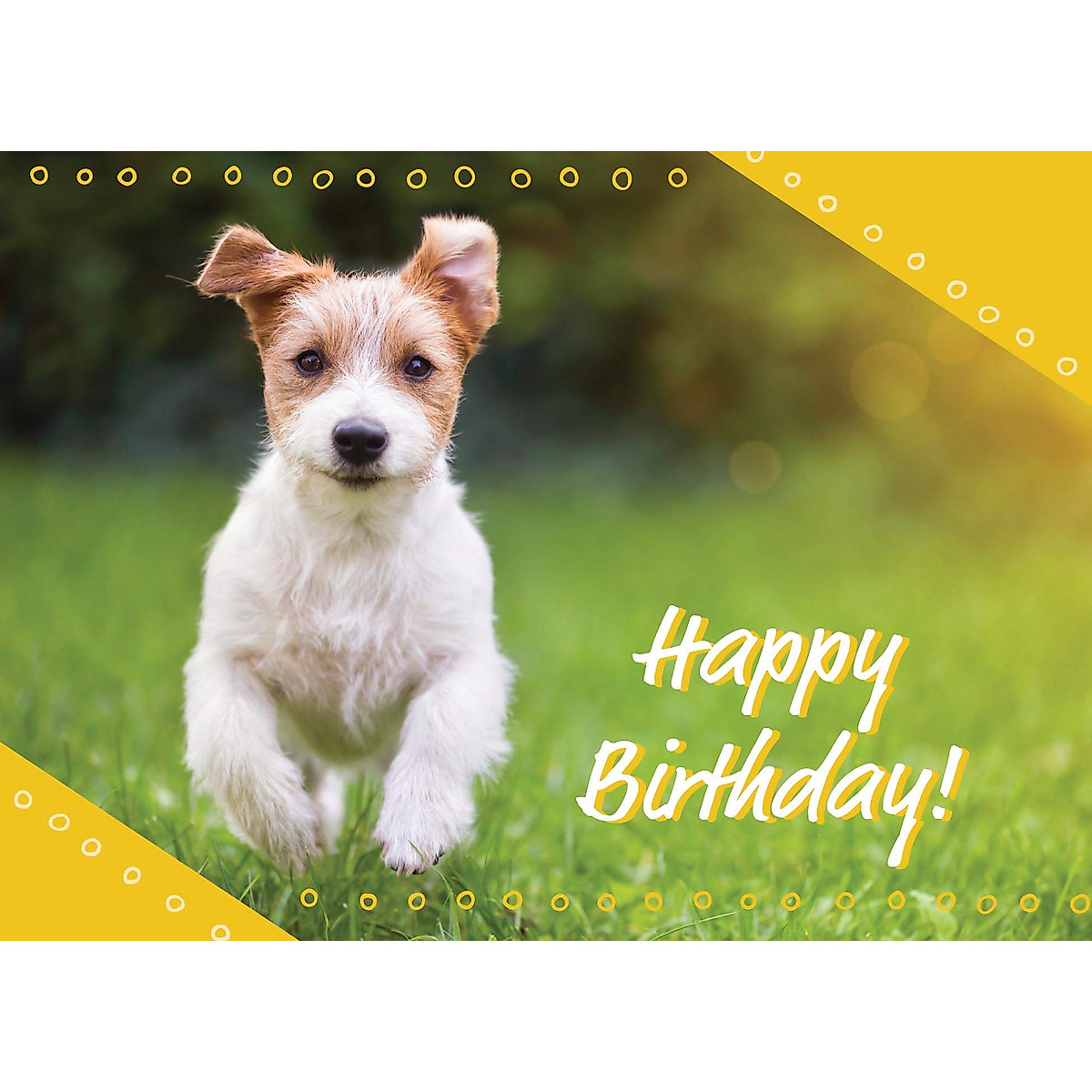 HTL Card-Boxed-Childrens Birthday-Fuzzy Friends (Box of 12)