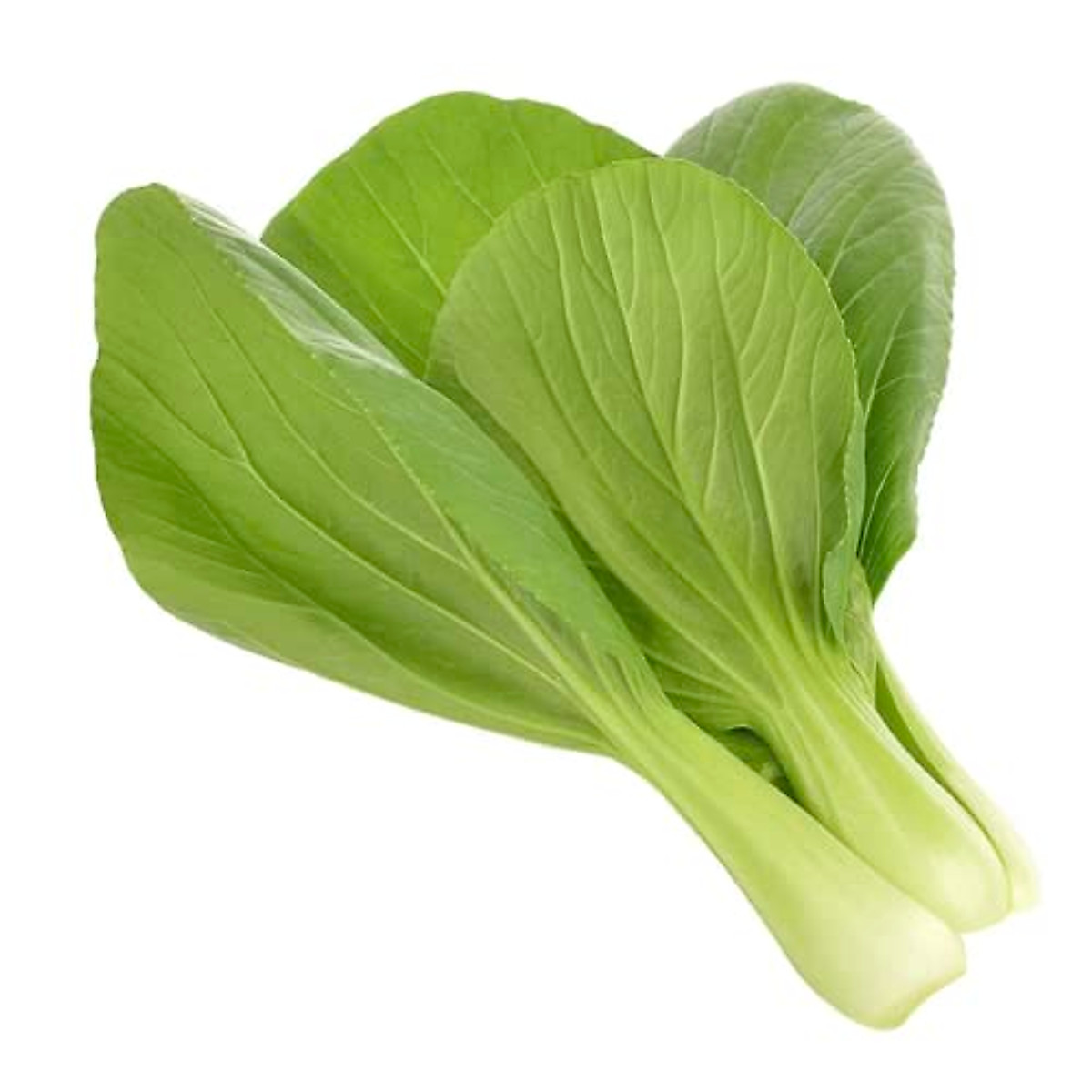 Pak Choy Seed Pods (3) for HydroGarden