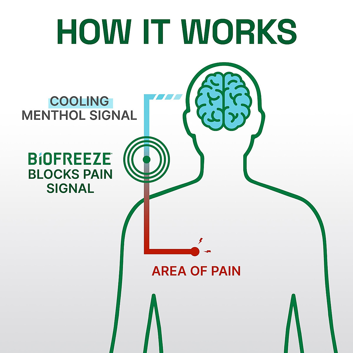 Biofreeze 13572 Professional Menthol Pain Relieving Spray 4 FL oz, Arthritis, Simple Backaches and Joint Pain, Pack of 2