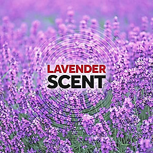 Raid Ant & Roach Killer Spray For Listed Bugs, Keeps Killing for Weeks, Lavender Scent 12 Ounce (Pack of 1)